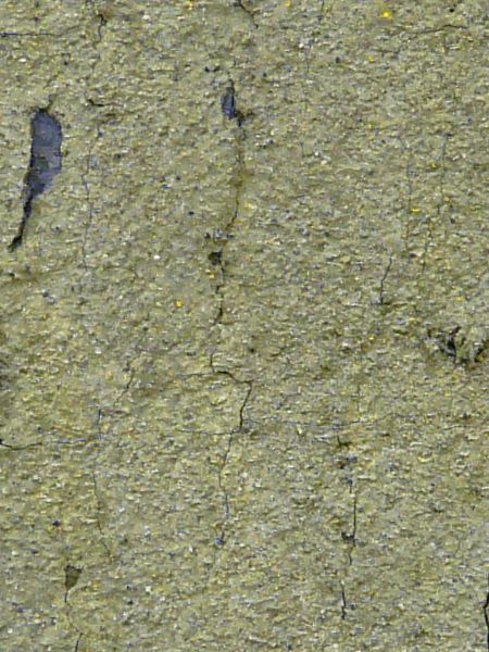 light green wood texture 0017 - Texturelib